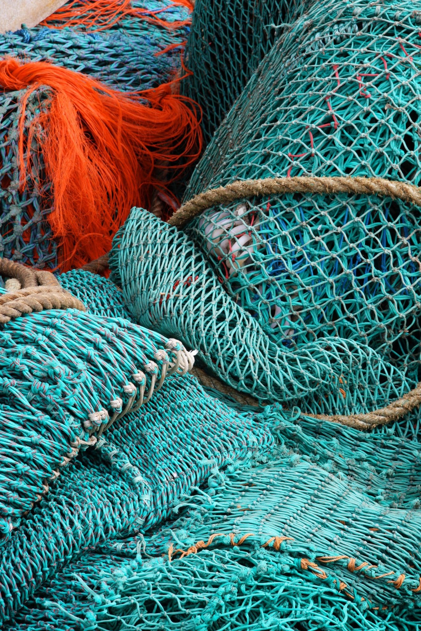 Shellfish Allergy | Anaphylaxis UK