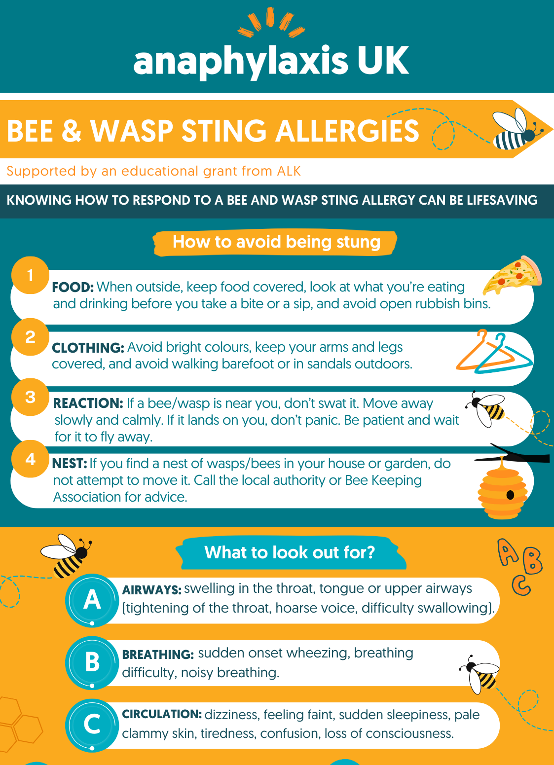 Our Bee and Wasp Venom Awareness Campaign is back for 2024 | Anaphylaxis UK