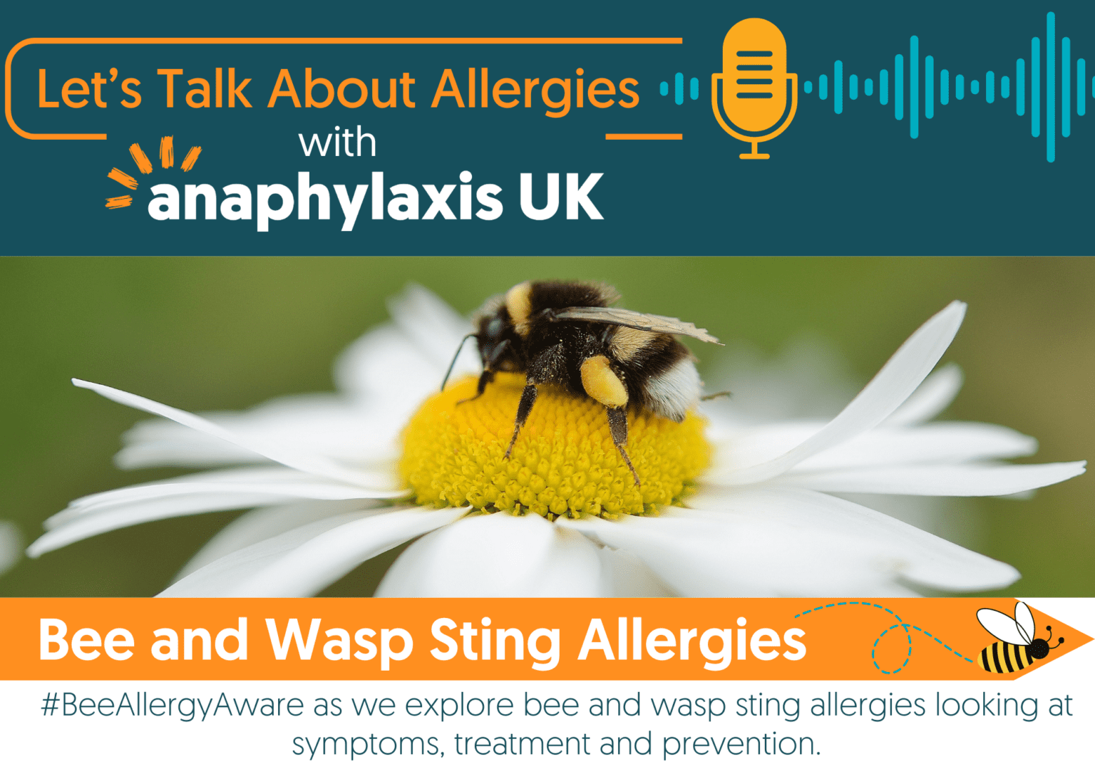 Bee & Wasp Allergy | Anaphylaxis UK